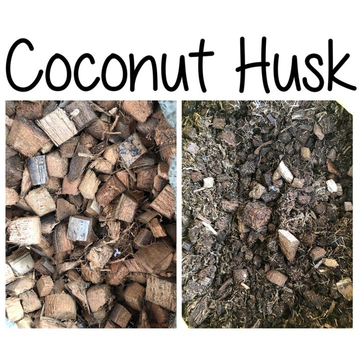 coconut husk coco coir cubes chips fiber strings blocks 200g 500g ...