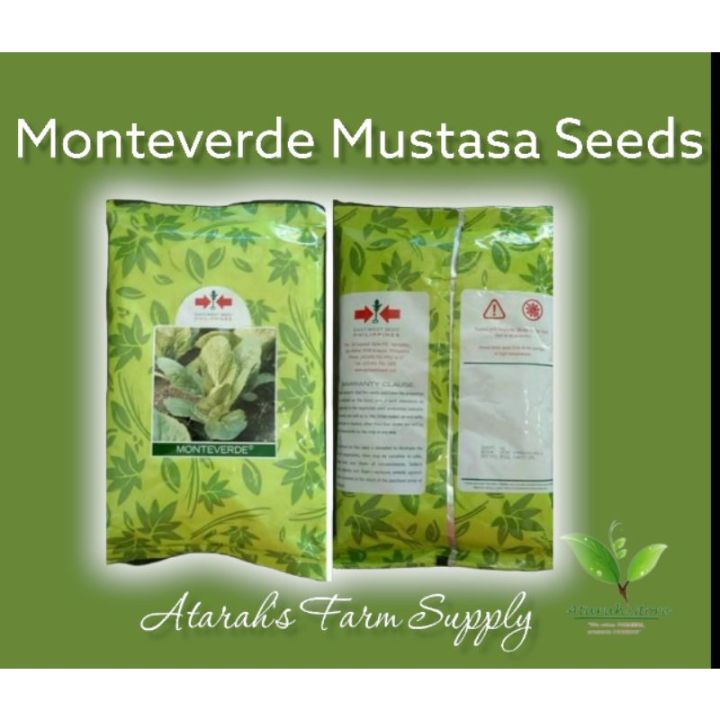 Monteverde Mustasa (1kilo) East West Seeds | Lazada PH