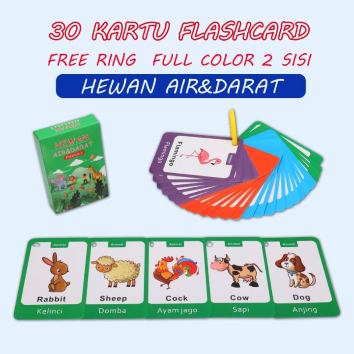 Flash Card anak-anak Murah / Flash card Mainan Edukasi Anak | Lazada ...