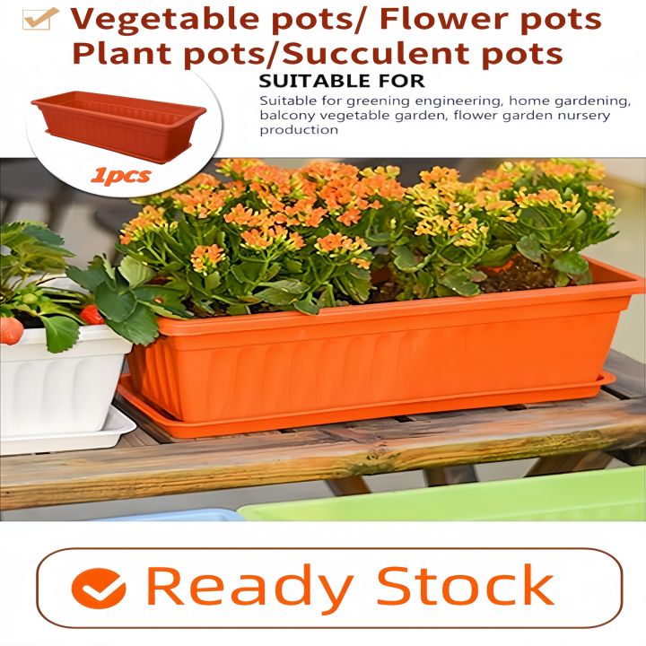 Rectangle Plastic Flower Planter (34cmx8cmx15cm) Plastic Planter For ...