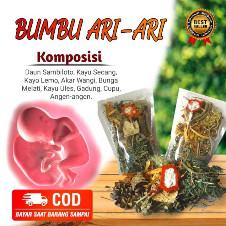 Bumbu Ari-ari Bayi, isi kendi ari ari, bumbu ari ari, bumbu ari ari bayi tradisional, isi kendil ...