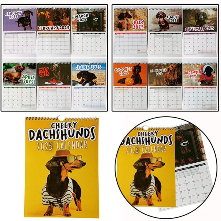CHILLY Cheeky Dachshunds 2025 Calendar Hangable Daily Weekly Monthly ...