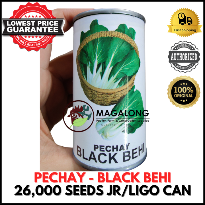 CONDOR SEEDS - PECHAY SEEDS - BLACK BEHI 26,000 Seeds - JR CAN / LIGO ...