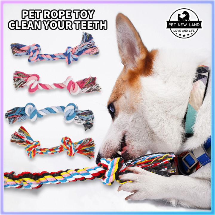 Pet New Land .Rope Dog Toy For Puppy Cotton Braided Bite Bone Rope Cat ...