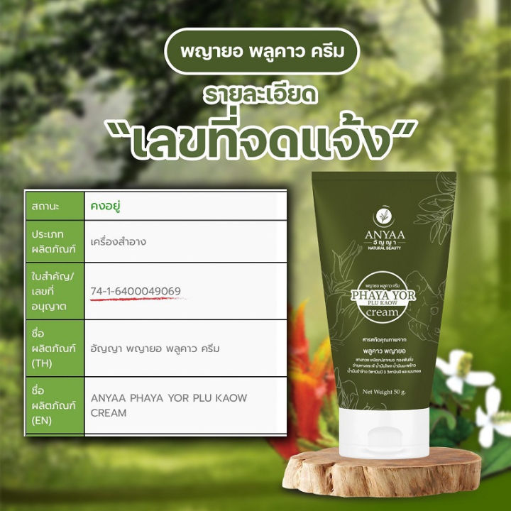 (พร้อมส่ง) Anyaa ครีมพญายอ พลูคาว จบทุก ปัญหา เรื่อง ผิวหนัง สมุนไพรไทย ...