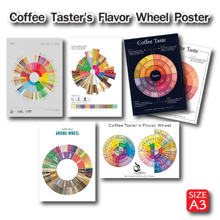 [คุณภาพดี]โปสเตอร์ กาแฟ Coffee Taster's Flavor Wheel Poster ตกแต่งร้าน ...