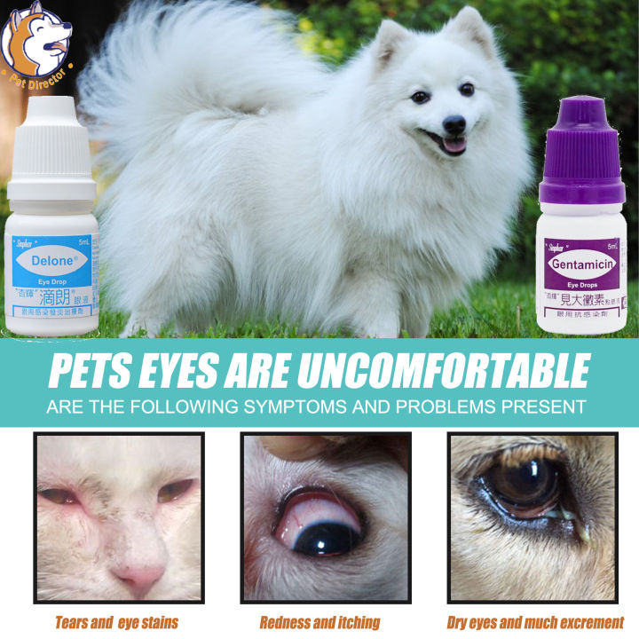 【Veterinary Recommendation】 5ml Eye Drops for Pet Eye Drops for Cat Eye ...