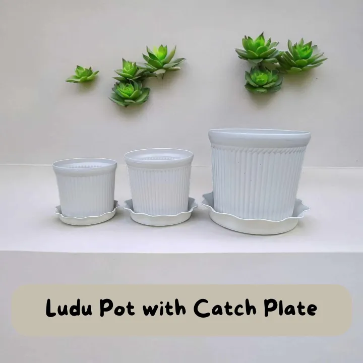5PCS Ludu Pot with Catch Plate (4.5in x 4.5in, 5in x 4.5in, 7in x 6.5in ...