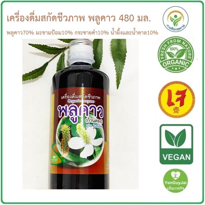 (ลานไพร) เครื่องดื่มสกัดชีวภาพ พลูคาว 480 มล. น้ำสกัดชีวภาพพลูคาว ...