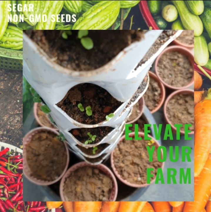 SEGAR Vertical Tower Plant Pot UP | Lazada