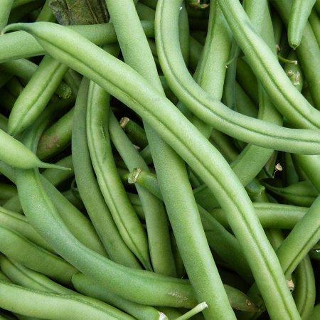 BAGUIO BEANS ( 12 seeds ) - Snap Beans / Green Beans | Lazada PH