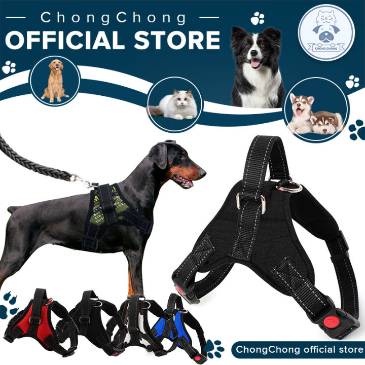 CHONG CHONG Reflective Dog Harness with Leash Lead Breathable ...