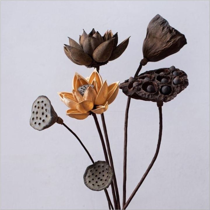Đài hoa sen khô tự nhiên trang trí decor | Lazada.vn