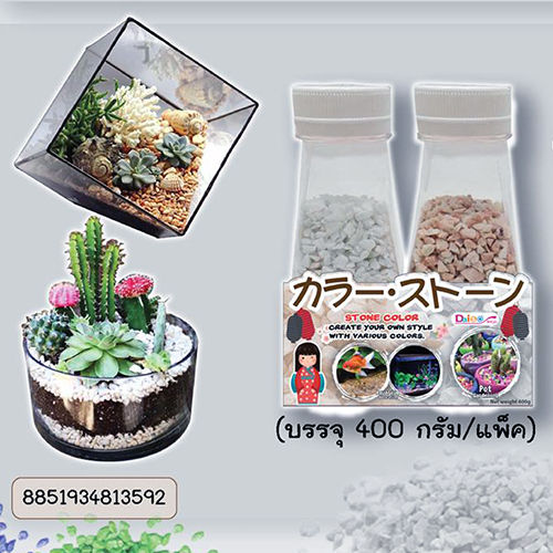 Daiso หินสีธรรมชาติ (Stone Color Normal) | Lazada.co.th