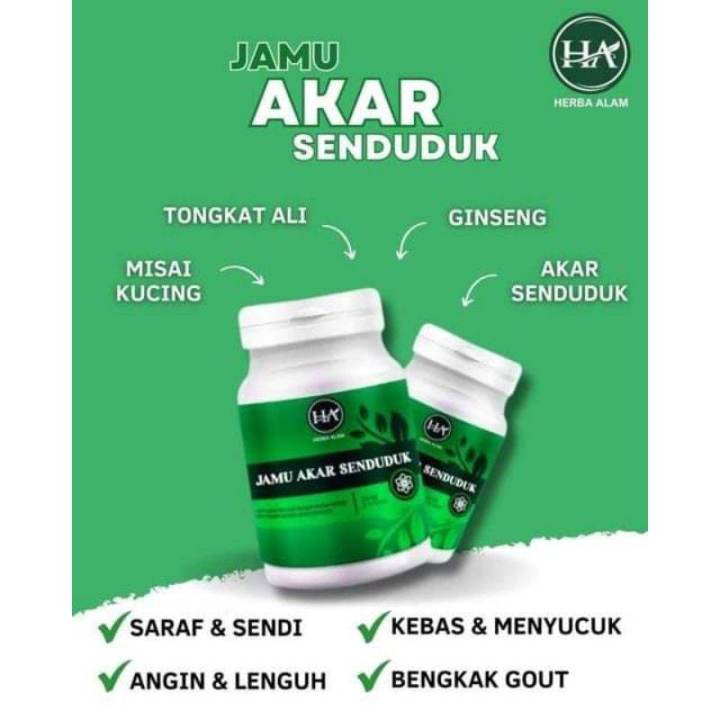 Jamu Akar Senduduk HQ Herba Alam Sendi Lutut Bahu Darah Tinggi | Lazada