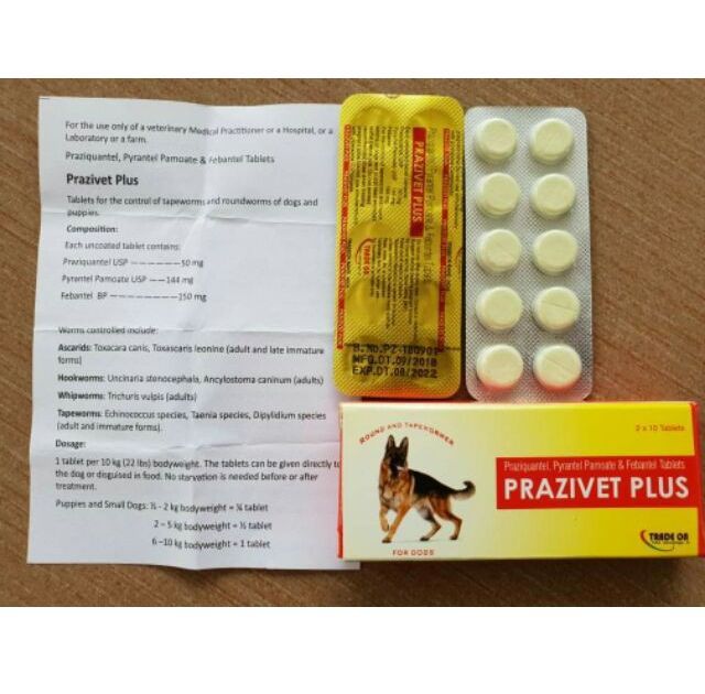 Prazivet Plus for Dog 1 tablet Deworm | Lazada