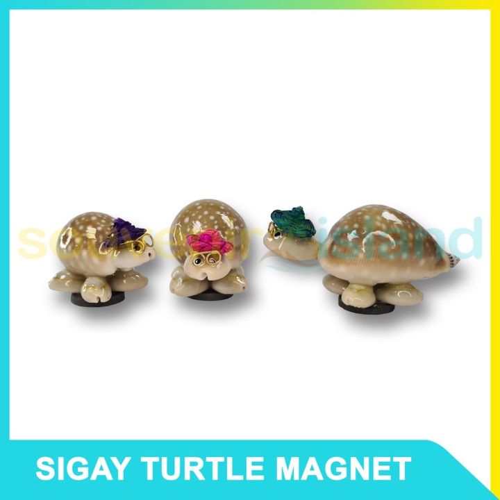 hot Sigay Turtle Refrigerator Magnet Philippine Souvenir | Lazada PH