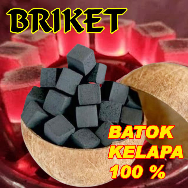 Briket Batok Kelapa Grade A Kotak Arang Barbekyu cube BBQ 1 kg | Lazada ...
