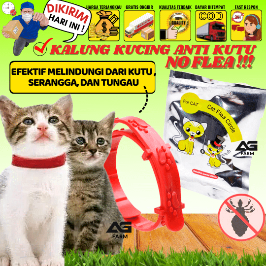 KALUNG ANTI KUTU KUCING Kalung Obat Anti Kutu Kucing Kelinci Anjing Musang Flea Tick Cat Kitten ...