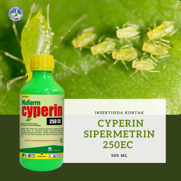 Insektisida Kontak CYPERIN Sipermetrin 250EC 500 ML | Pembasmi Hama ...