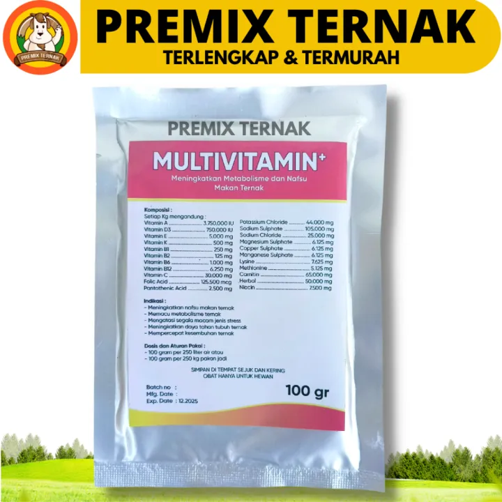 MULTIVITAMIN PLUS 100 gr - Suplemen Multivitamin dan Elektrolit untuk ...