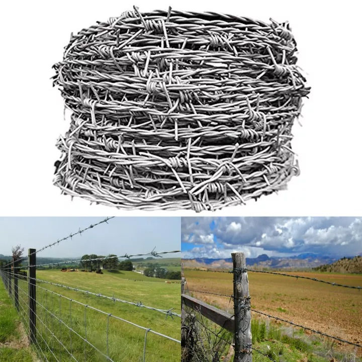 100/200 Meters Iron Barbed Wire Roll Fence Barbed Wire Anti-climb ...