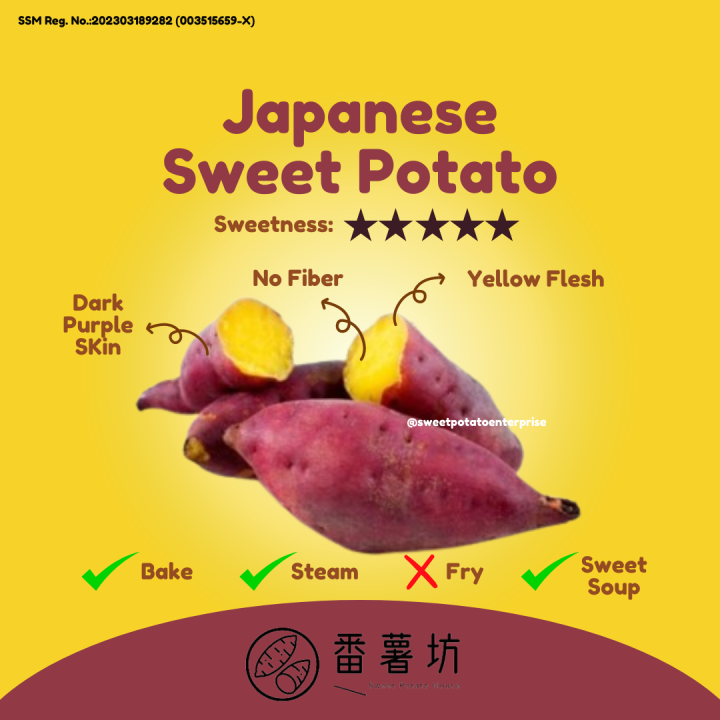 Japanese Sweet Potato 日本栗子番薯 Ubi Keledek Manis Jepun | Lazada