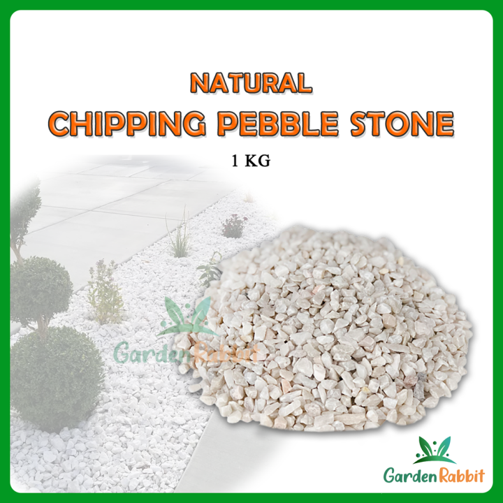1KG White Chipping River Pebble Stone Gardening Landscape Decoration ...