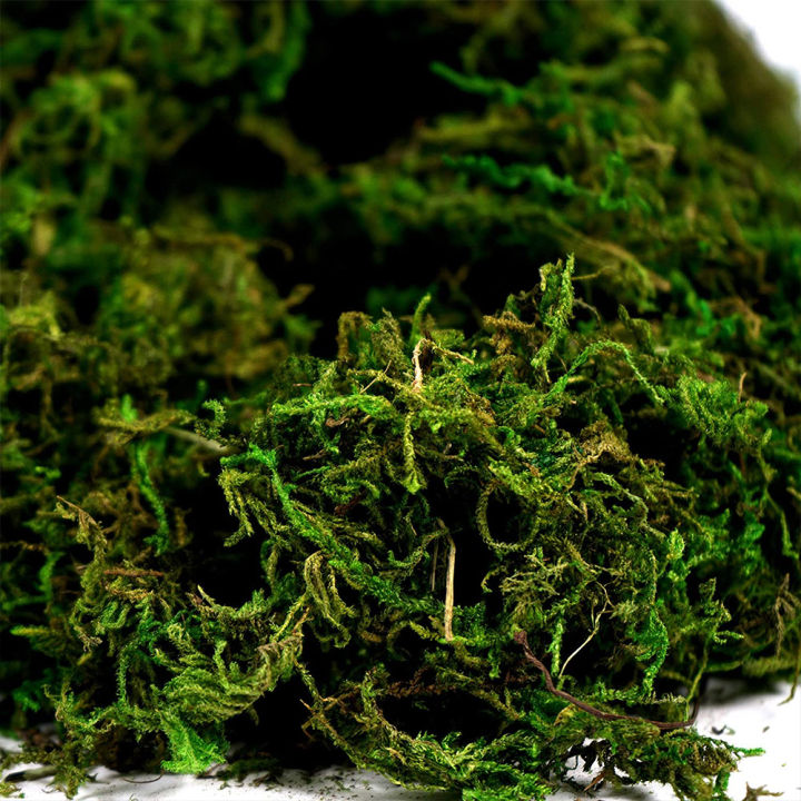 30g/40g High Quality Artificial Moss Simulation Fake Green Plant Moss ...
