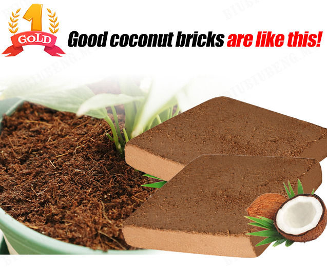 HeeHaa 【1/2PCS】Green Plant Nutrient Soil [Organic Natural Coconut Brick ...