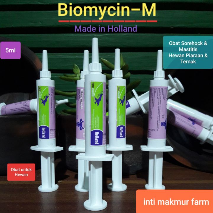 Biomycin - M Obat Sorehock & Mastitis Masa Laktasi pada Sapi, Kambing ...