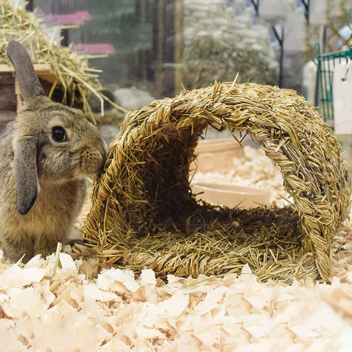 Grass House Tunnel Hutch Woven Hut for Laying or Sleeping Edible Chew ...