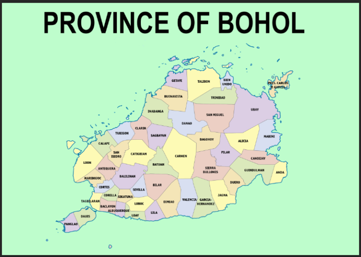 Bohol Province Map Waterproof A4 Laminated Chart | Lazada PH