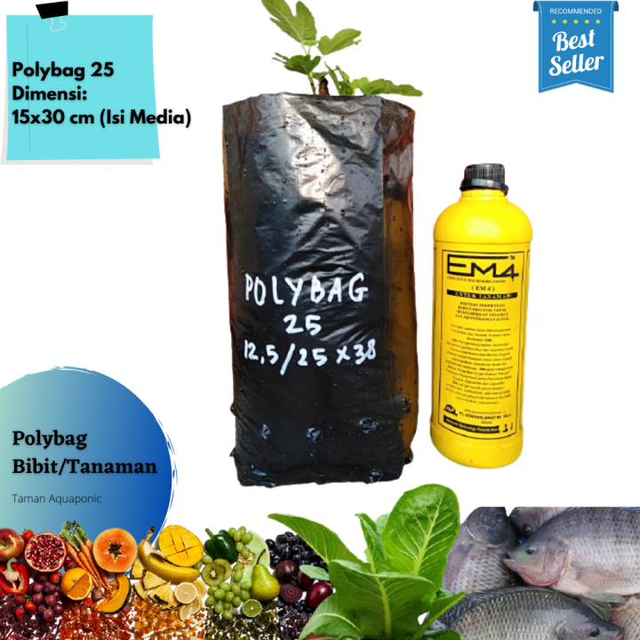 Polybag Besar 1 Kg | Lazada Indonesia