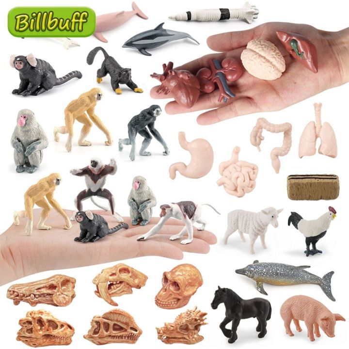 Simulation Human Evolution History Figures Prehistoric Animals Sets ...