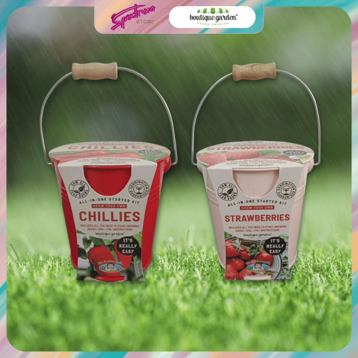 Boutique Garden | Grow Kit Beginner DIY Plant Kit | Zinc Pot Wooden ...