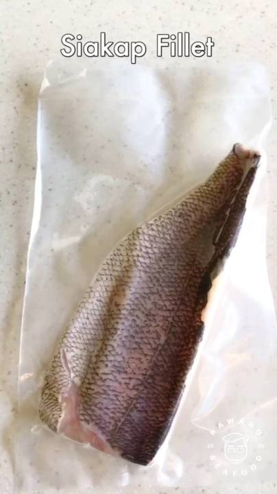 Siakap Fillet 石甲鱼片 Seabass Sliced/ Barramundi Boneless/Frozen Fish ...