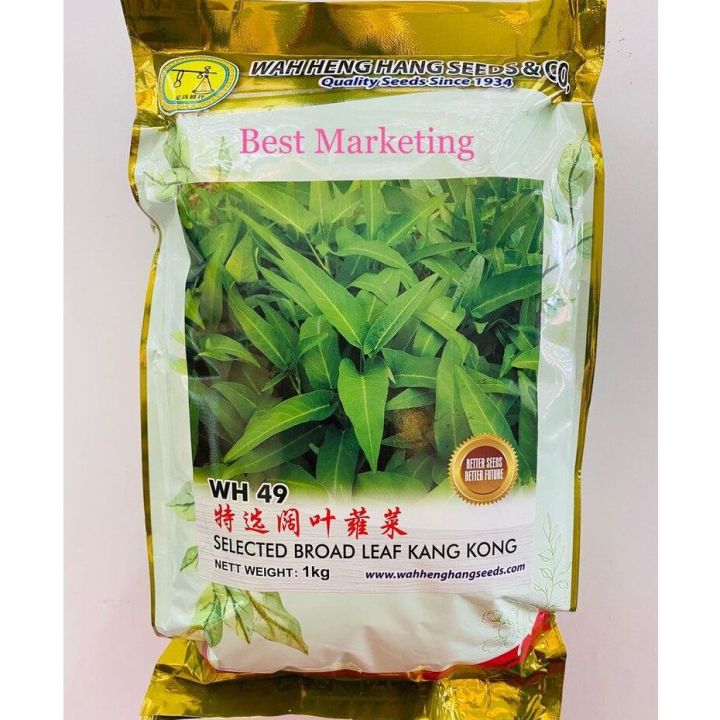 1KG WH49 BENIH KANG KUNG (daun lebar) ( WAH HENG HANG) | Lazada