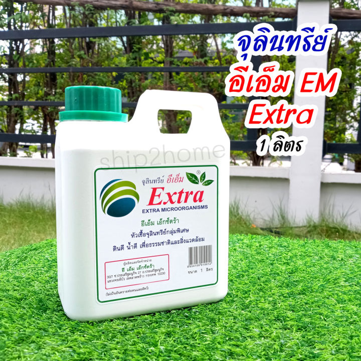 จุลินทรีย์อีเอ็ม Em Extra 1ลิตร หัวเชื้อจุลินทรีย์อย่างดีประสิทธิภาพสูง | Lazada.co.th