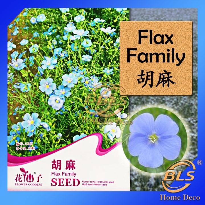 【EXPIRED】BIJI BENIH A265 FLAX FAMILY FLOWER GODDESS VEGETABLE FLOWER ...