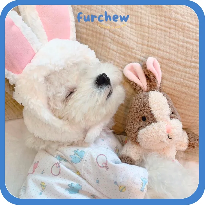 [SG] Pet Rabbit Squirrel Bunny Sleeping Snuggle Soft Toy with Squeaker ...