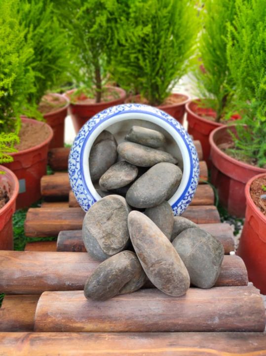 GNC - 1KG Premium River Stone Pebble Stone For Decoration Gardening ...