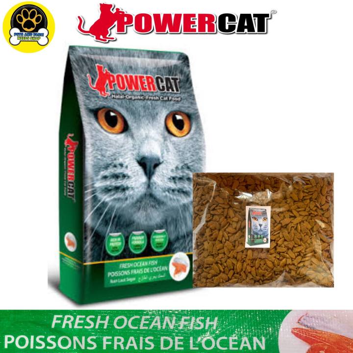 Powercat FRESH OCEAN FISH Adult Cat Food 1 KG REPACKED ~ GREEN | Lazada PH