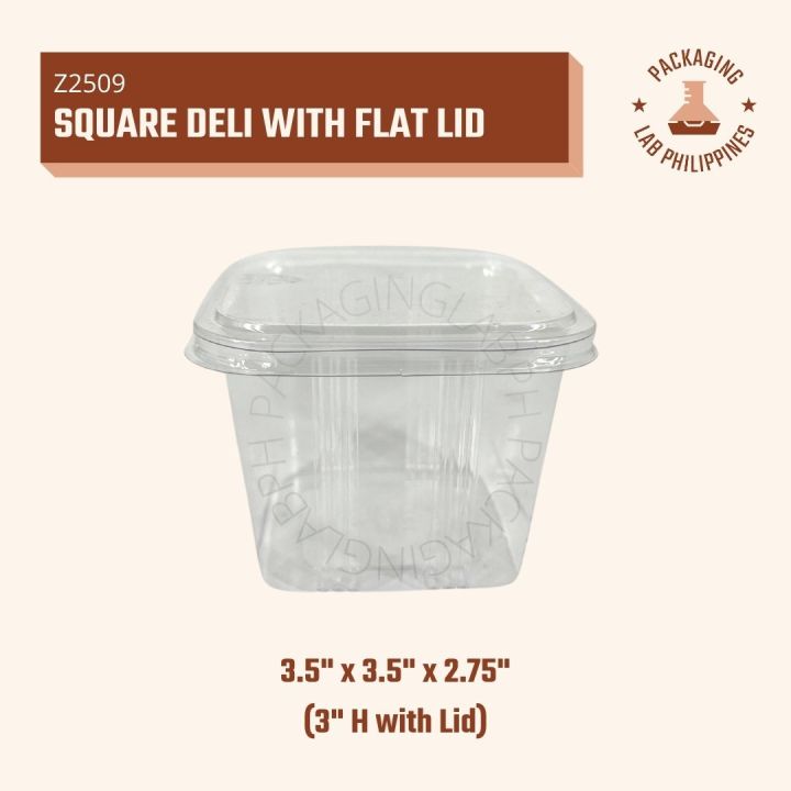 [10pcs] Square Deli Box with FLAT LID for Cakes, Mousse, Salads and ...