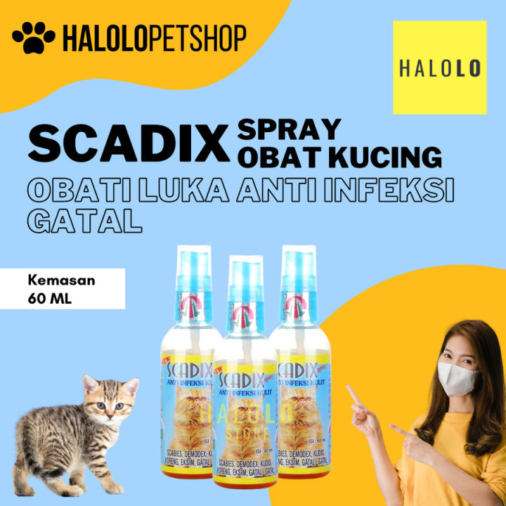 Scadix Spray 60ml - Obat Luka Anti Infeksi Gatal Jamur Kudis Penyakit ...