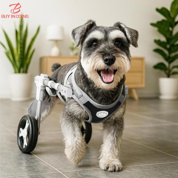 BC 2-Wheel/4-Wheel Pet Dog Wheelchair Fully Adjustable Rear Wheelchairs ...