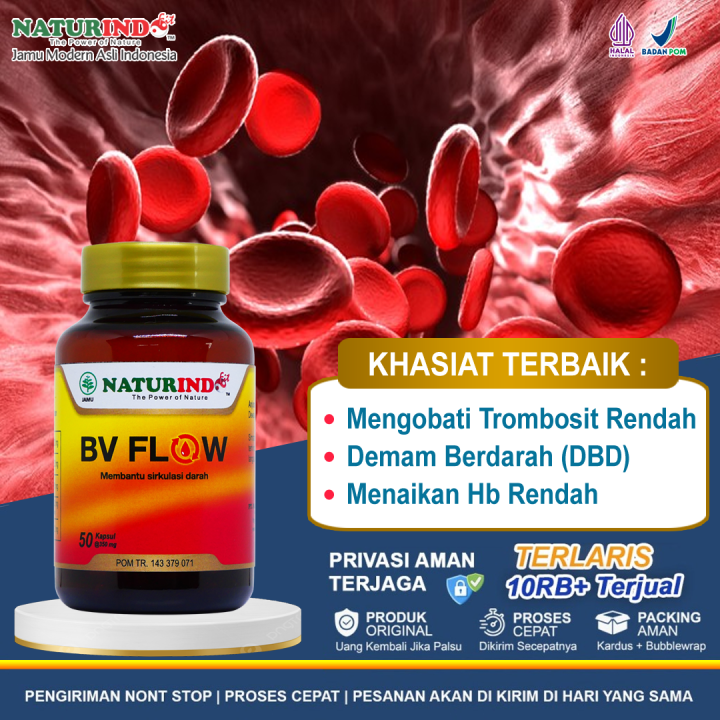 Obat Penambah Trombosit Paling Ampuh Penurun Panas DBD Demam Berdarah ...