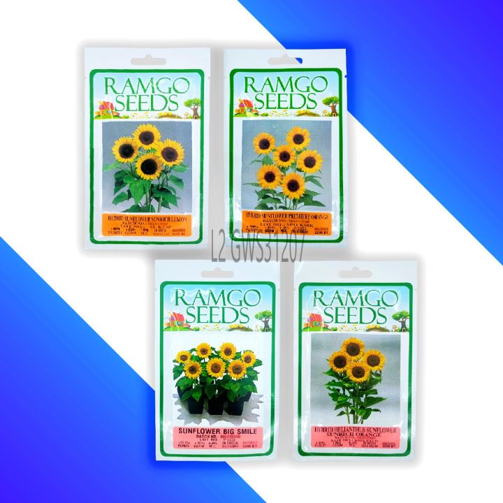 Ramgo RCF Sunflower Seeds Multiple Variants | Lazada PH