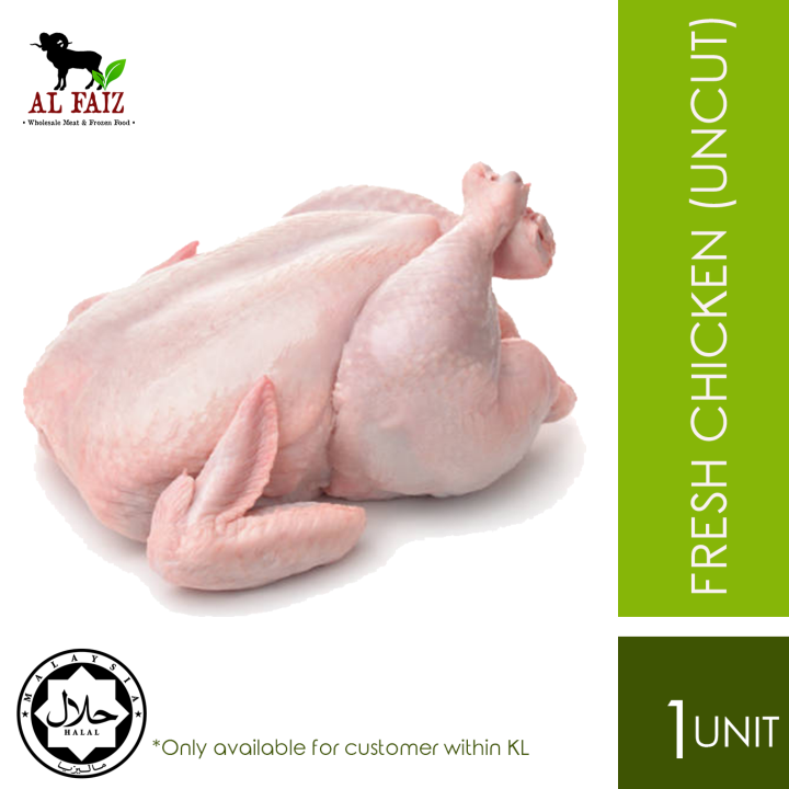 Ayam Segar Halal / Whole Chicken (1.6kg ++) | Lazada