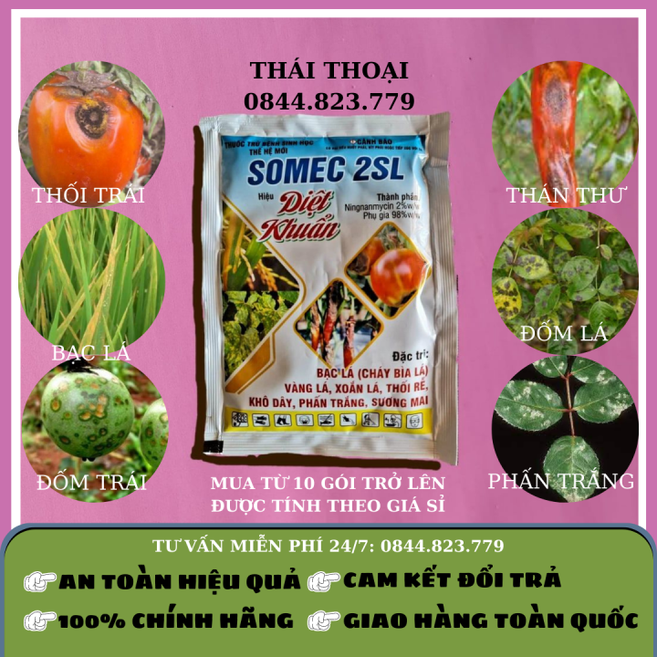 Thuốc Trừ Bệnh – Somec 2SL – Diệt trừ Khuẩn – Phấn Trắng – Sương Mai ...